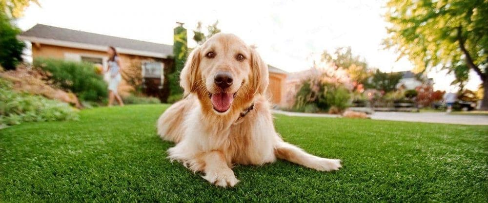 Venta e Instalación de【 PASTO SINTÉTICO 】envíos a todo México